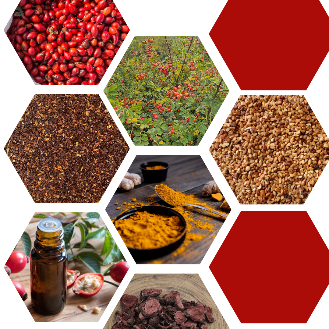 Rosehip Farm (Pty) Ltd - Organic & Natural Products Portal